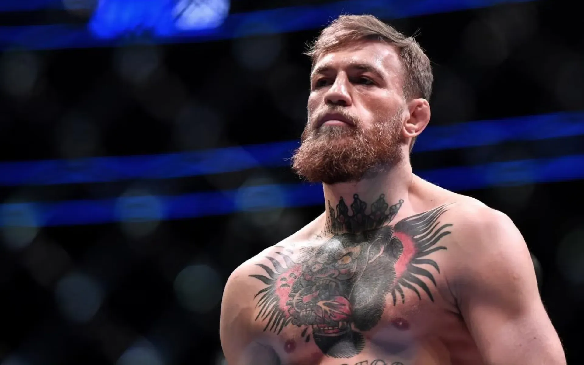 Fans react to Conor McGregor showering praise on UFC Freedom 250 and ...